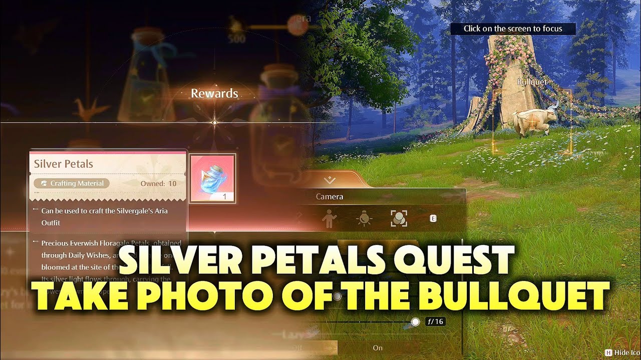 Take 0/1 Photo of the Bullquet | Infinity Nikki - YouTube