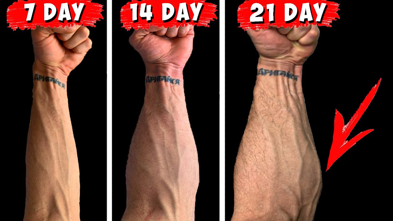 Get VEINY ARMS in 21 Days - a Set of Exercises for Big Hands at Home ...