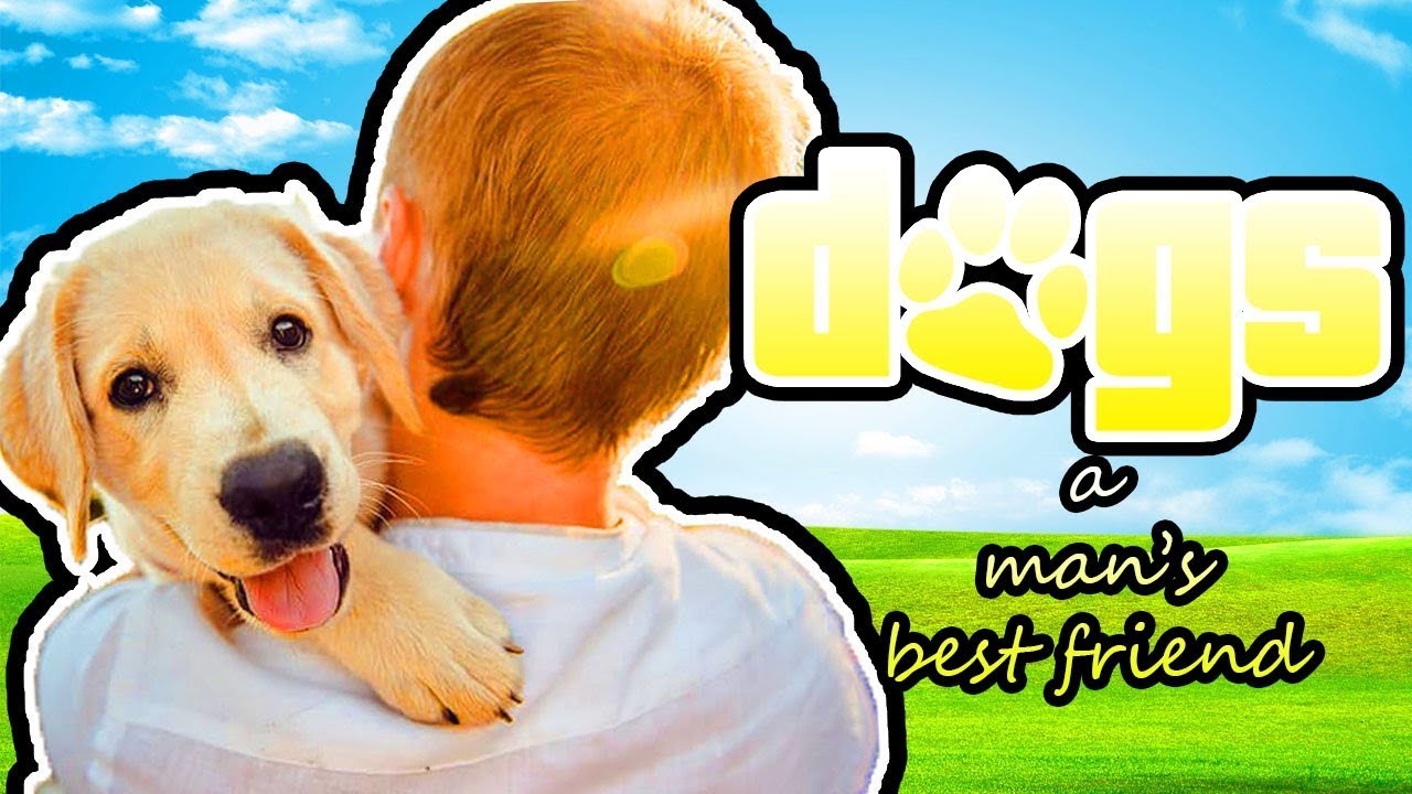 Cynical Presents - DOGS: A Man's Bestfriend - YouTube