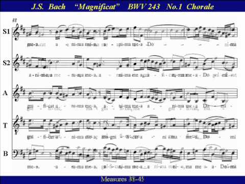 JS Bach Magnificat BWV 243-1 Tenor - YouTube
