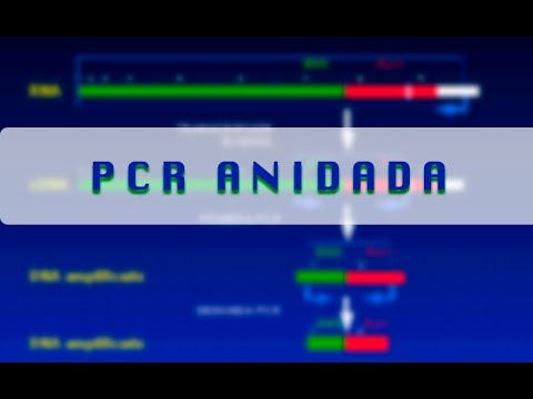 PCR Anidado y Semianidado / GUÍA DE LABORATORIO MOLECULAR VETERINARIO ...