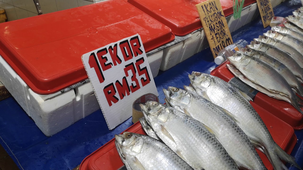 Mencari ikan terubok masih sarawak, Kubah Ria, medan niaga Satok - YouTube