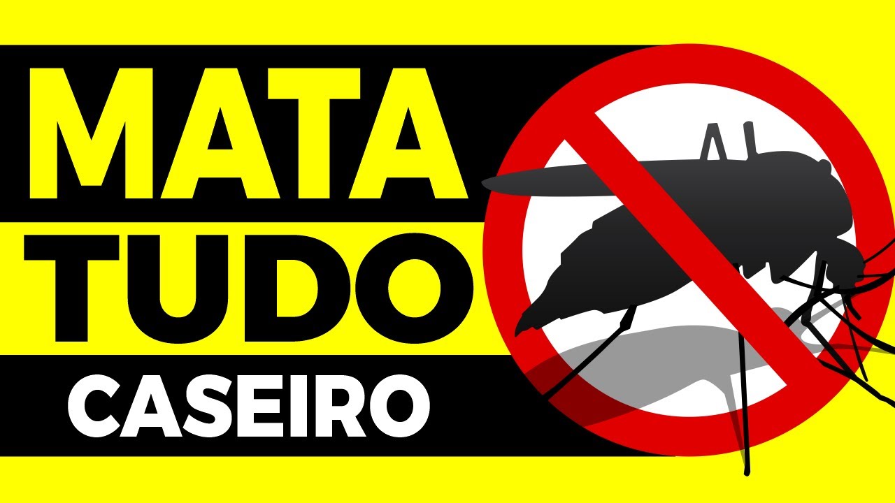 COMO MATAR INSETOS | INSETICIDA CASEIRO SEM VENENO. - YouTube