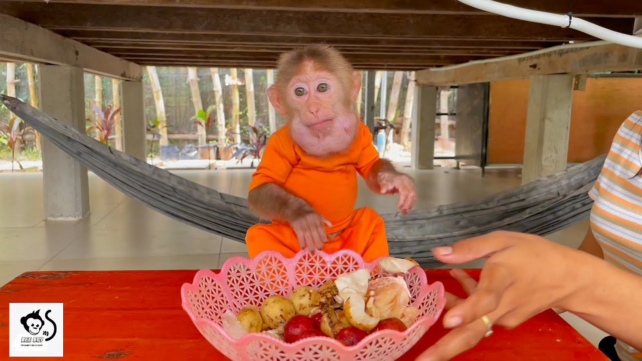 Bee Boy Monkey Get Choking While Eat Fruit To Fast - YouTube