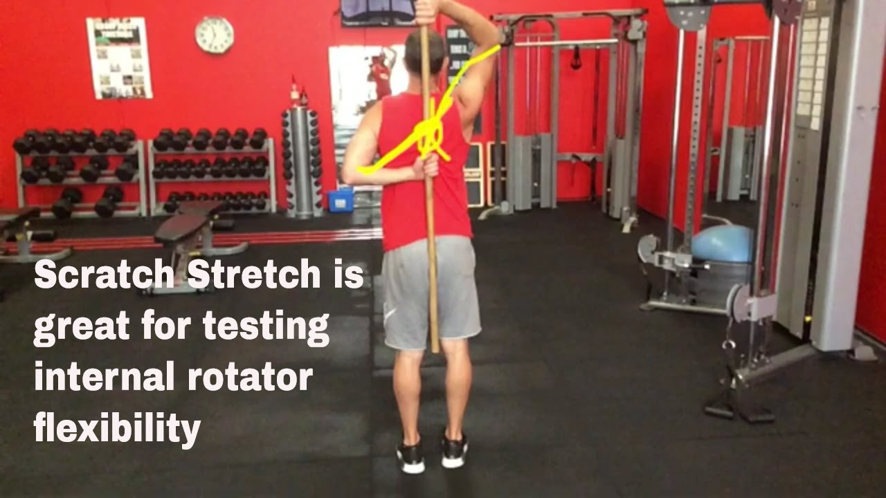 Dynamic Shoulder Mobility Drills Using A Stick - YouTube