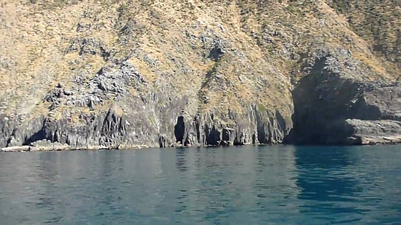 Paua Diving Trip - YouTube