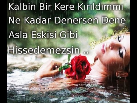 zeng ucun mahnilar 2017