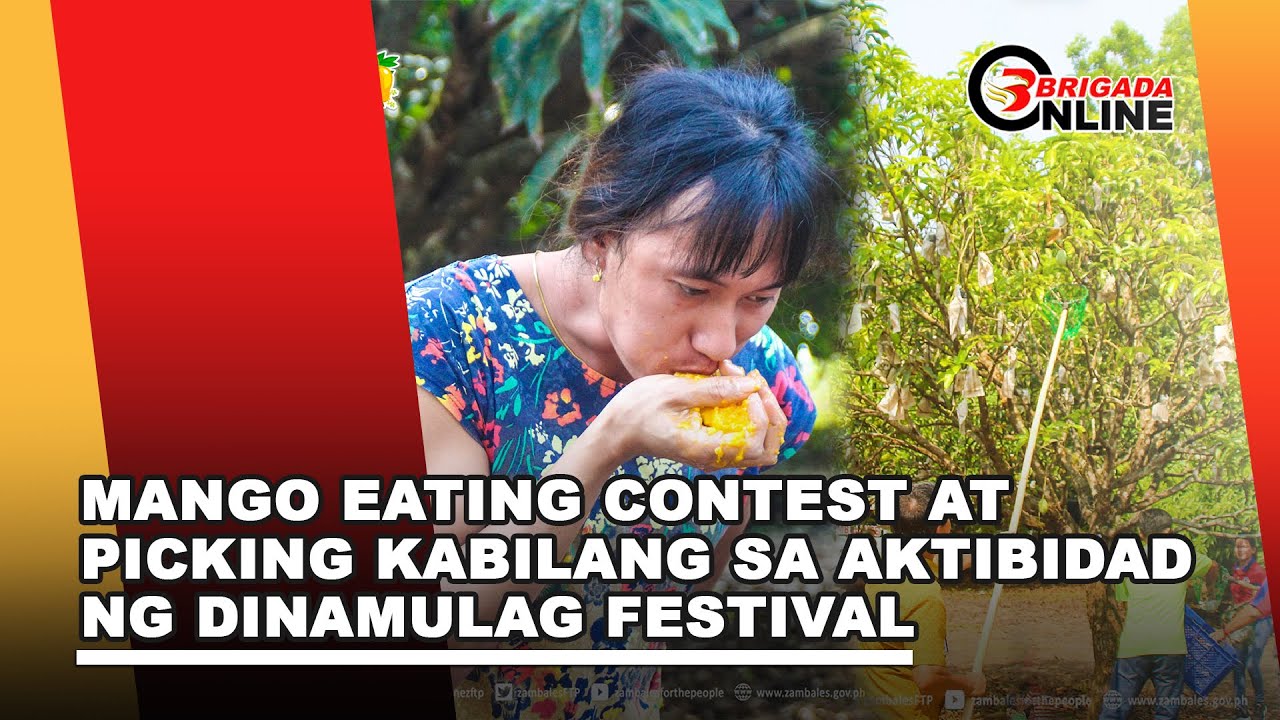 Mango eating contest at picking kabilang sa aktibidad ng Dinamulag ...