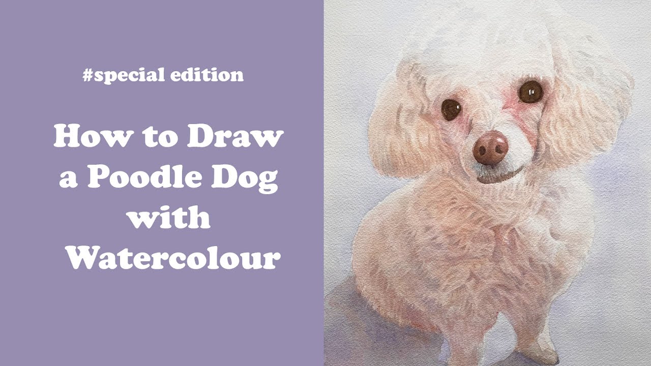 How to draw a poodle dog with watercolour#dog #special - YouTube