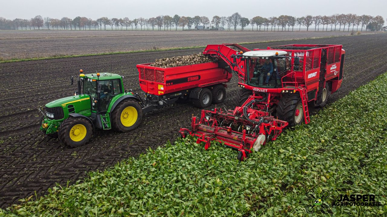 Bieten rooien | Vervaet Q616 - YouTube
