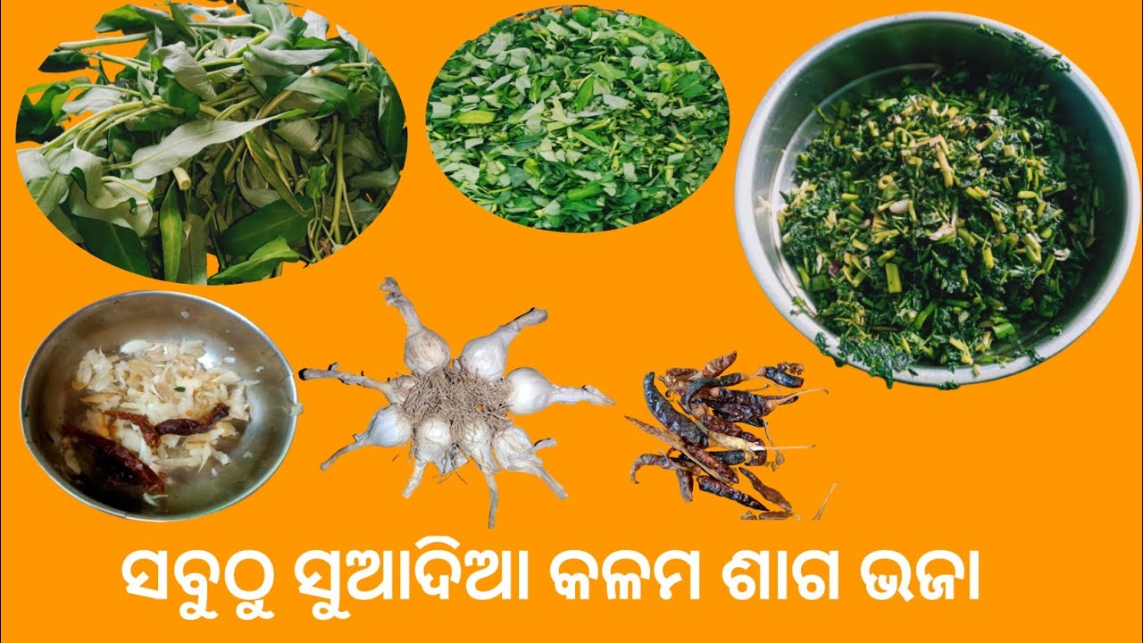 ସବୁଠୁ ସୁଆଦିଆ କଳମ ଶାଗ ଭଜା | kalama Saga Recipe| Kalama Saga Bhaja ...