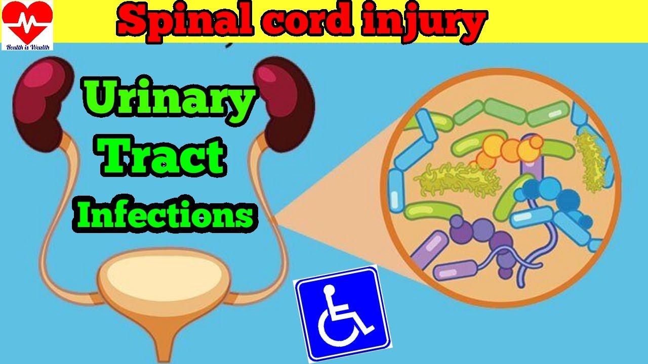 Spinal cord injury Urinary Tract Infection - YouTube
