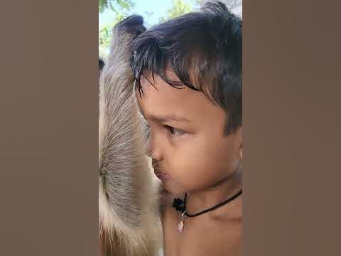 Subham and Sundri Chulbuli's friendship. - YouTube