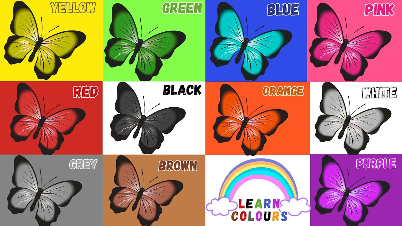 Color Song for Toddlers and Children |Butterfly Colors Song for Kids ...