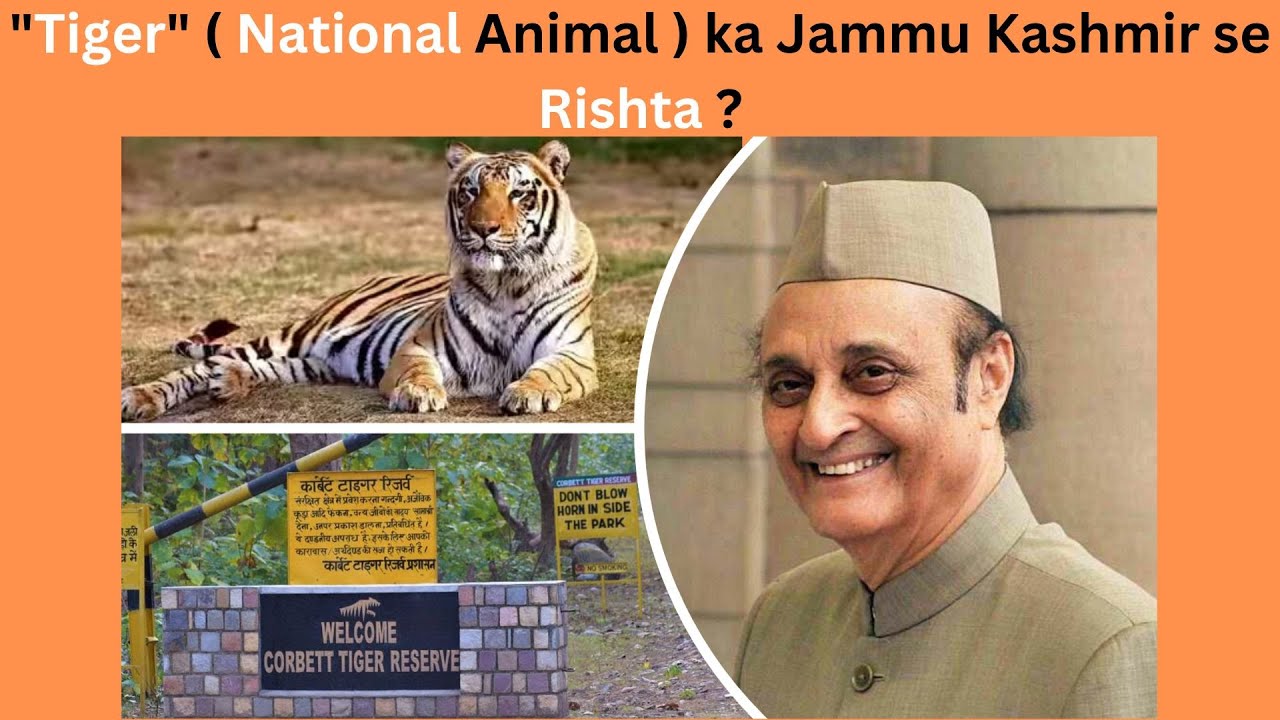 "Tiger" ( National Animal ) ka Jammu Kashmir se Rishta ? | JK News ...