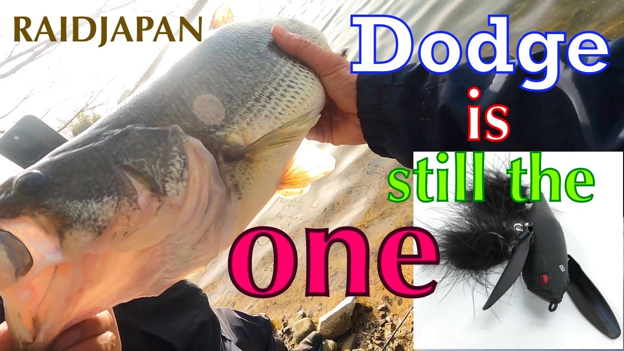 【TOPWATER】Dodge is still the one【Bass Fishing】【RAIDJAPAN】 - YouTube