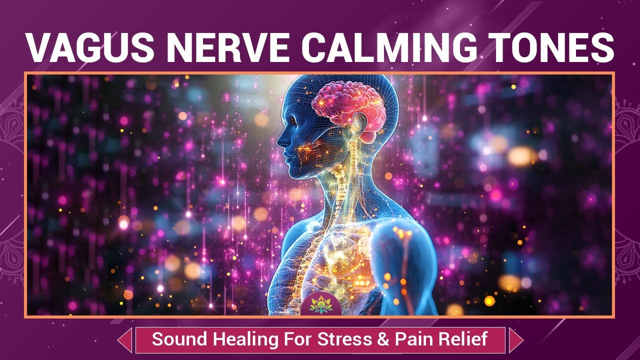 Vagus Nerve Calming Tones - Sound Healing For Stress & Pain Relief ...