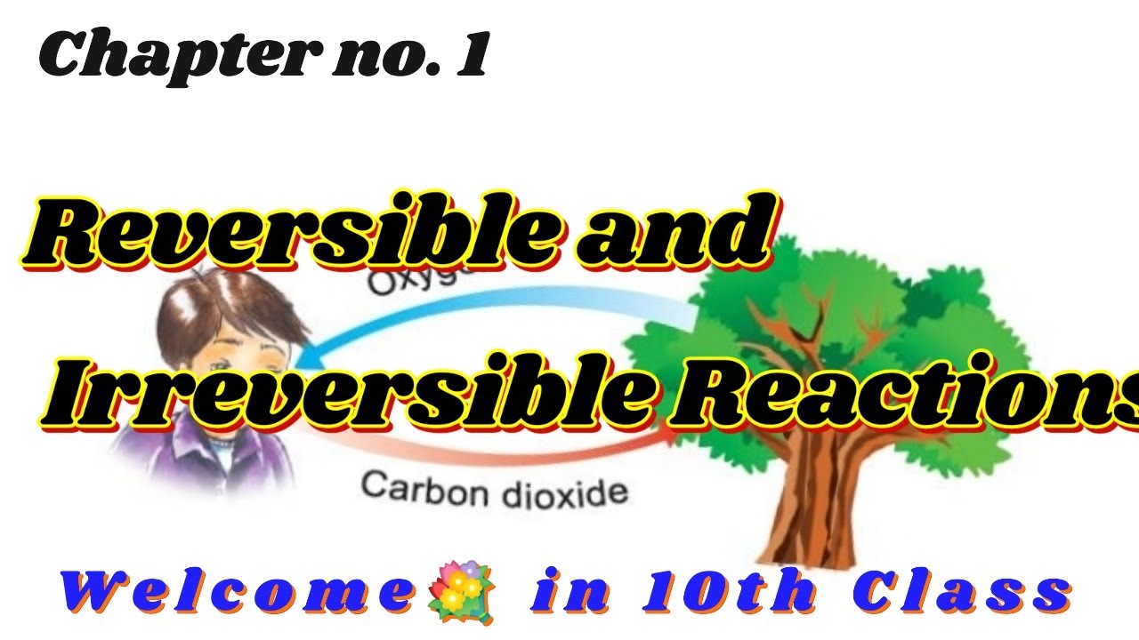 Reversible and Irreversible Reactions| Chapter 9|Chemical Equilibrium ...