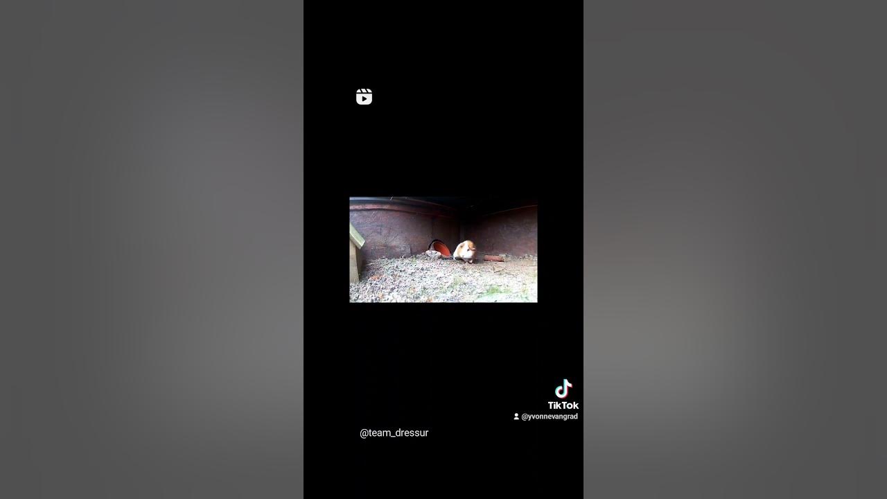 eine Frage hätte ich - YouTube