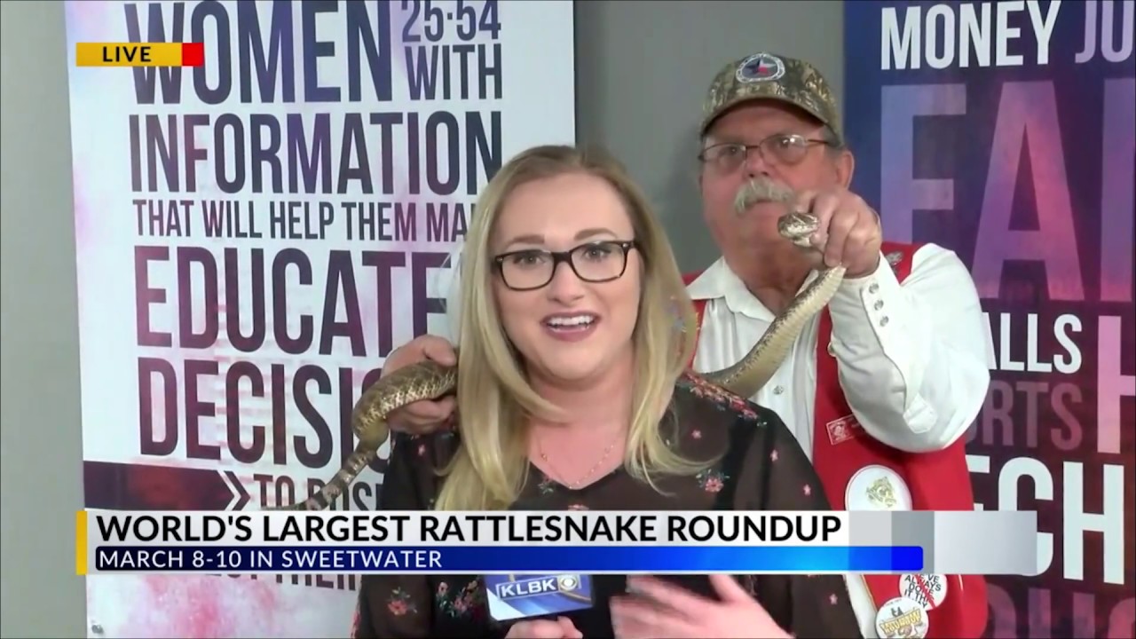 Emily Falkenberg MMJ/Lifestyle Reporter Reel - YouTube