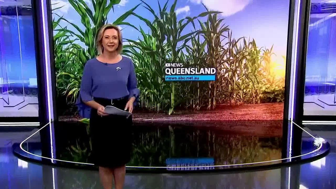 ABC News Sunday: Queensland - 28/01/2024 - YouTube