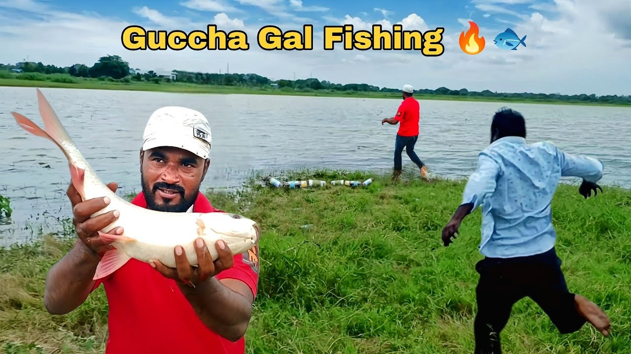 6 Hook Guccha Rohu Fishing 🔥🐟 – Extreme Fish Hunting & Catching ...
