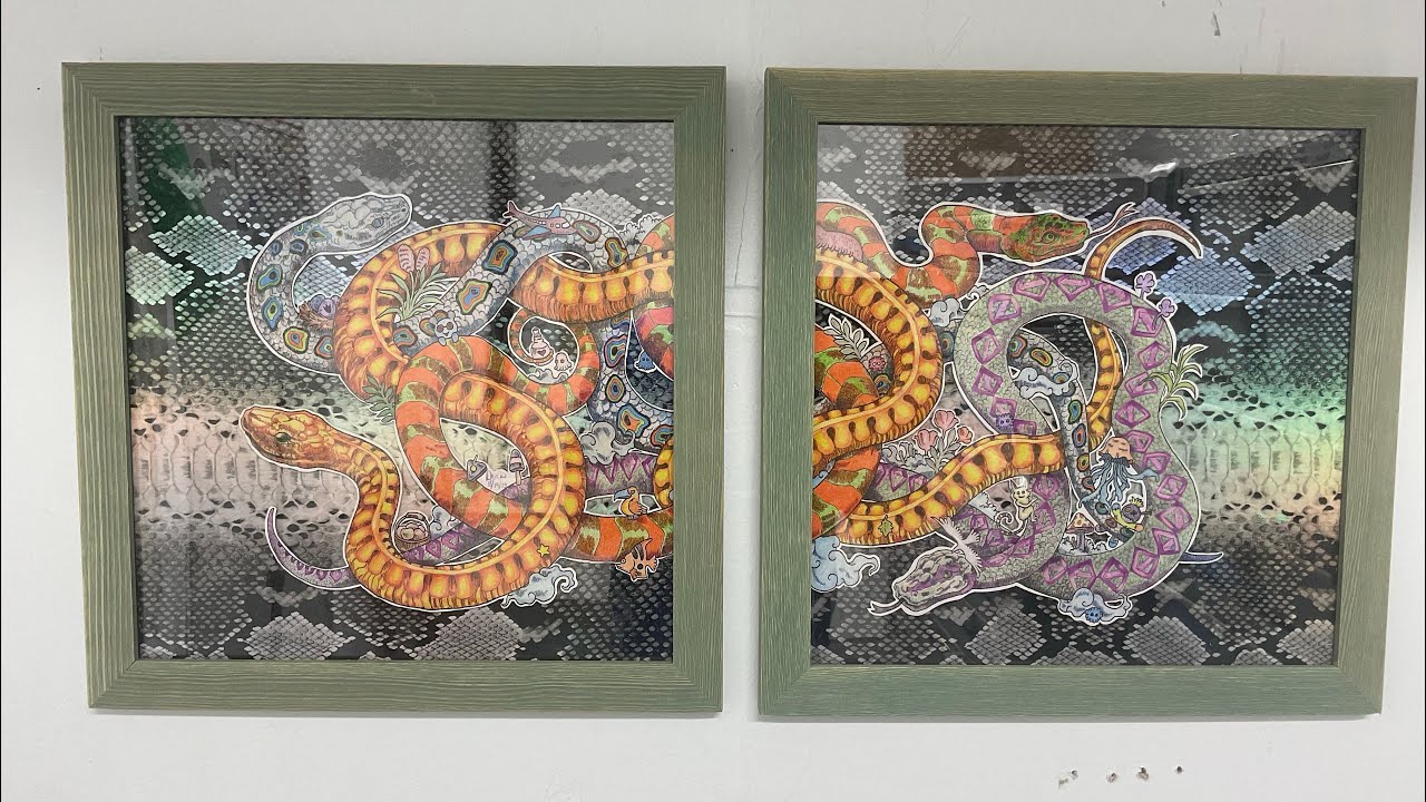 New ball python breeding/room updates - YouTube