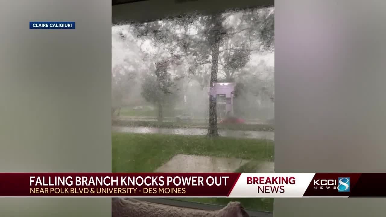 Video shows moment falling branch knocks power out at home near Polk ...