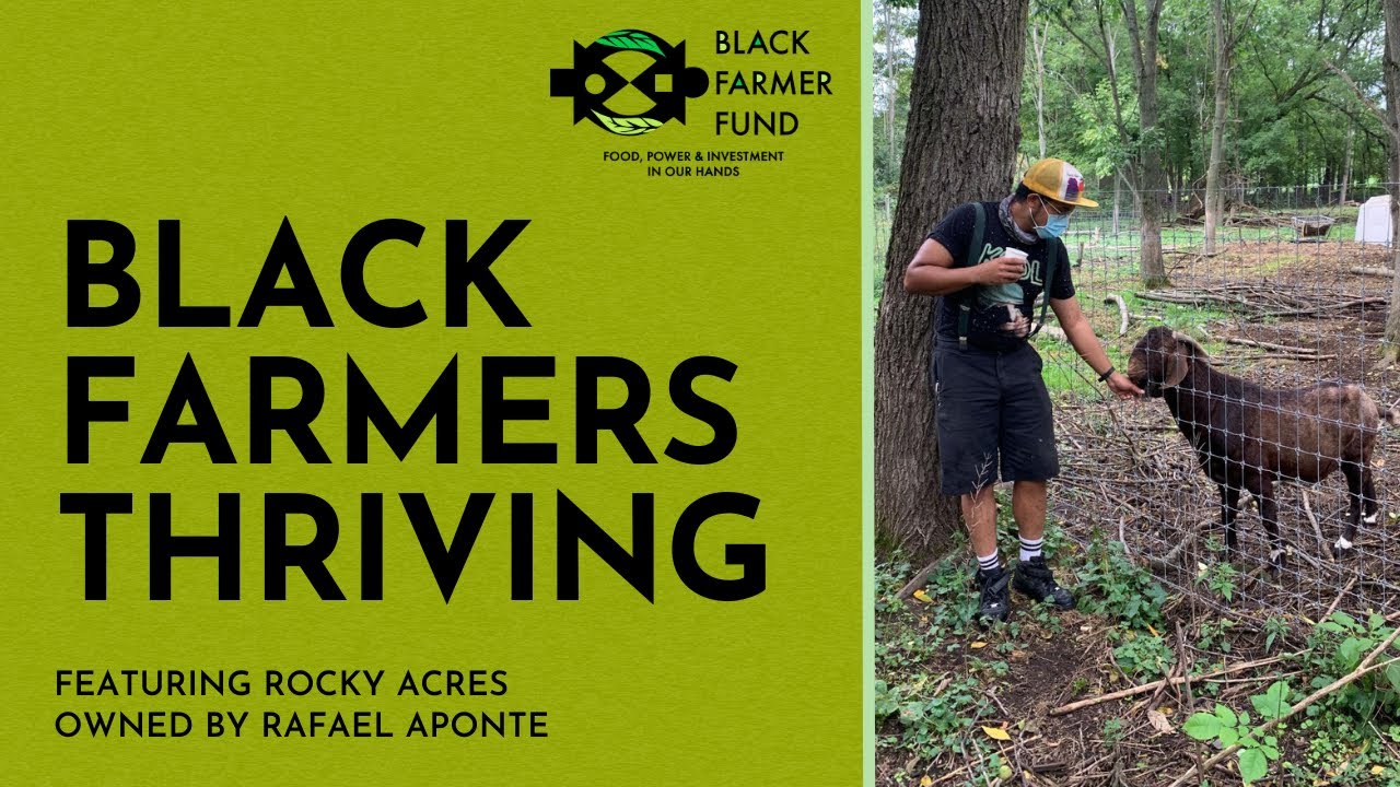 Black Farmers Thriving: Rocky Acres Community Farm - YouTube