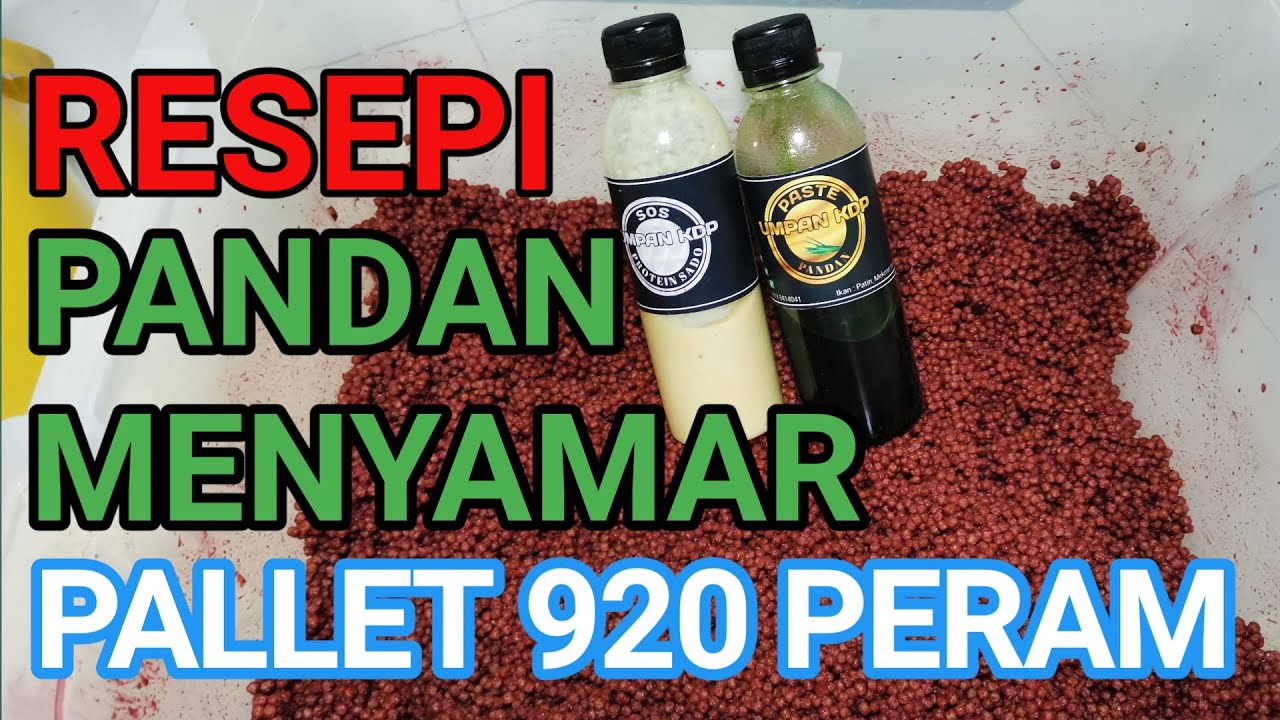 CARA BUAT UMPAN PATIN PALLET 920 PERAM PANDAN MENYAMAR ACAH STRAWBERRY ...