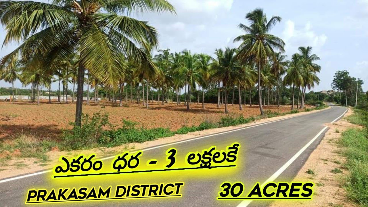 Acre -3 Lks || 30 Acres Agriculture land for sale | praksham district ...