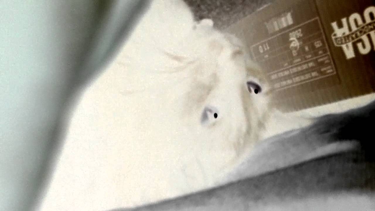 Milenko-under da bed party part 2 - YouTube