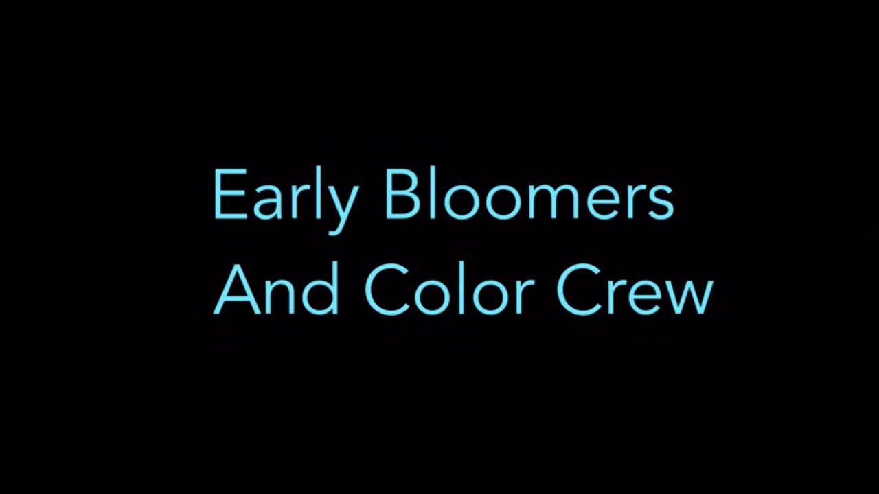 Early Bloomers And Color Crew - YouTube