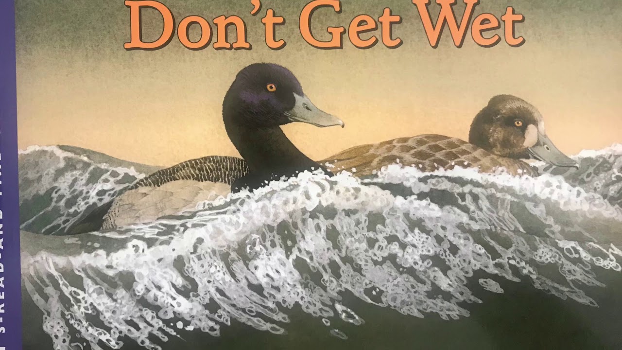Ducks Don’t Get Wet pages 1-14 - YouTube