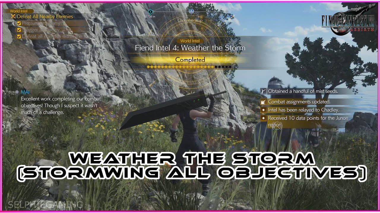 Fiend Intel Weather the Storm (Stormwing All Objectives) Final Fantasy ...