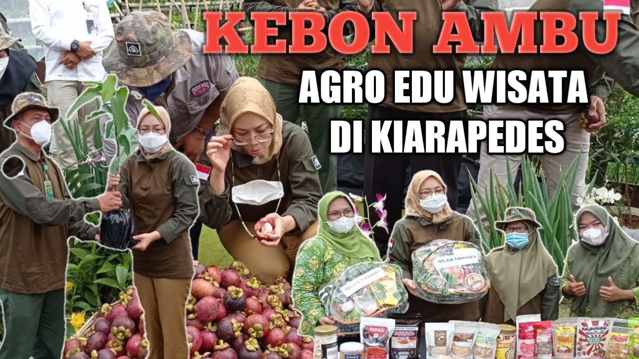 KEBON AMBU AGRO EDU WISATA | FESTIVAL HOLTIKULTURA | MENANAM POHON ...