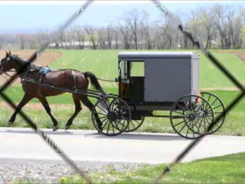 Amish Life in Turkish ( Amişler Türkçe )