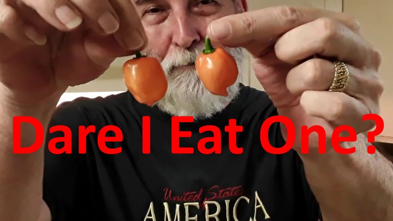 Pepper Eating "Challenge" - YouTube