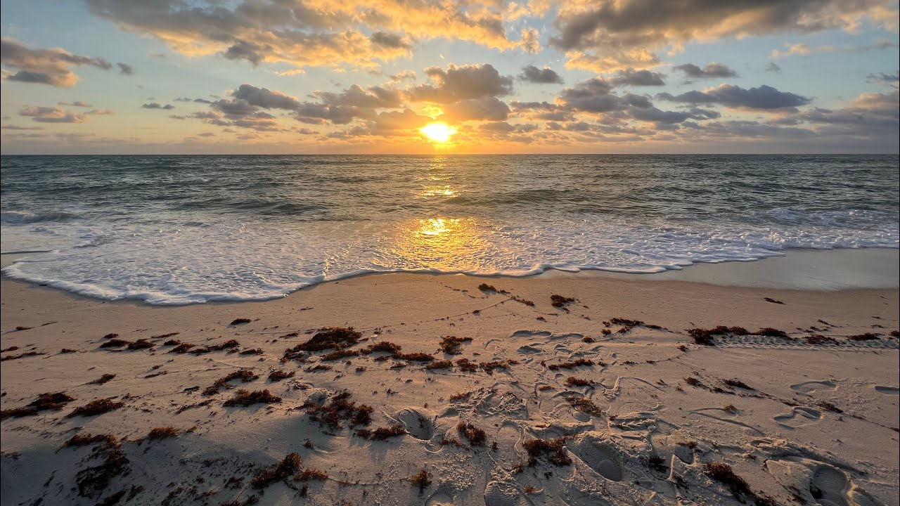 Miami, Florida | Spring Break | Vlog 2023 - YouTube