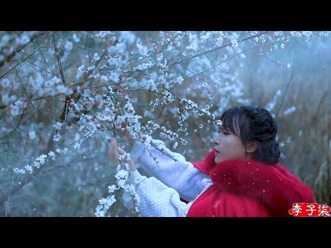 Congee with pickled mustard plant stem  and plum blossom pastries 榨菜清粥&梅花酥，完美早餐  | Liziqi Channel