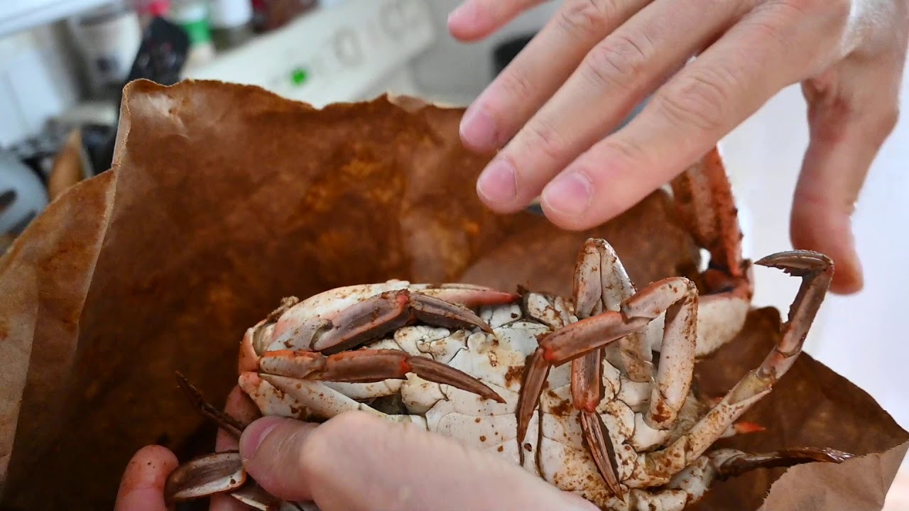 Maryland Crab in Pasadena Maryland part 1 - YouTube