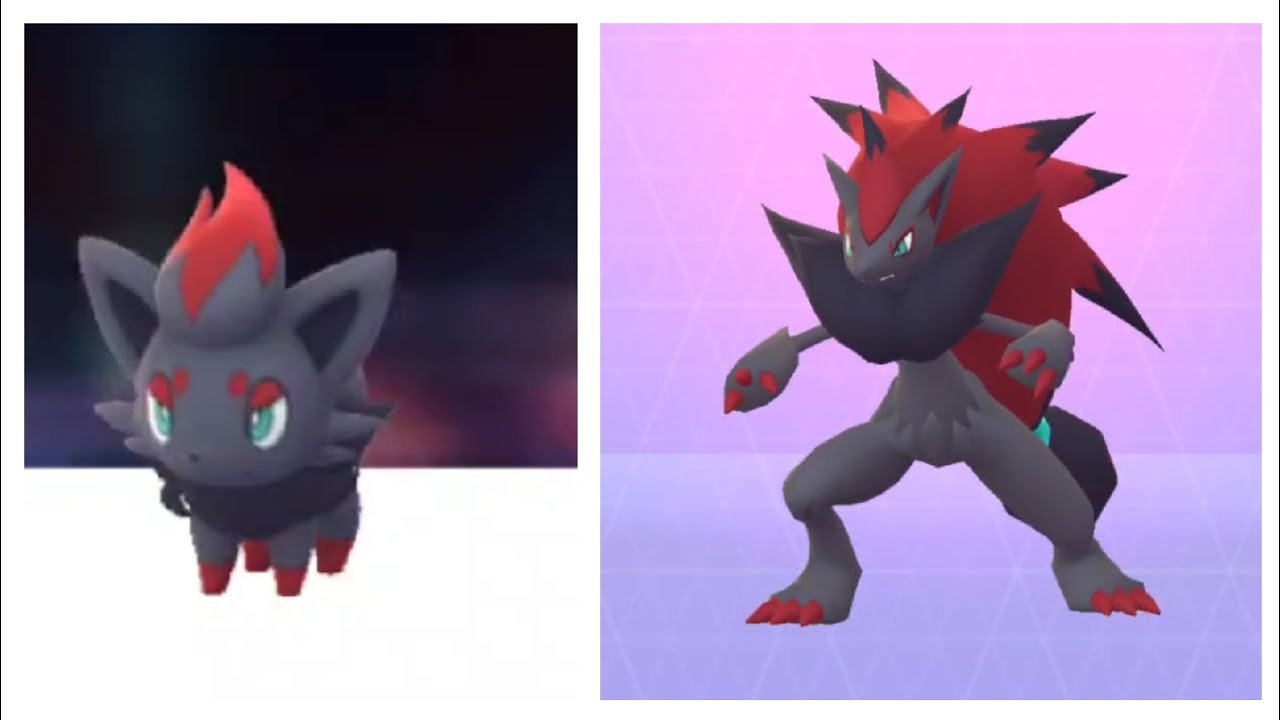 Zorua evolution into Zoroark in Pokemon go | Dark type Pokemon ...