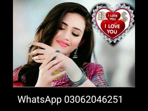 Parryware dhandha horsey horsey dhola Jude Jude ke Banda Dil nai maneda Dil nai maneda status