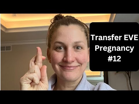 Pregnancy #12- EMBRYO TRANSFER EVE- part 2 - YouTube