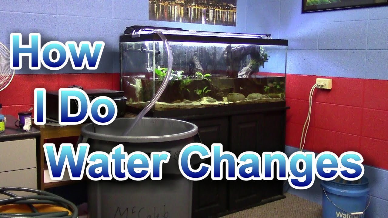 My Unique Water Change Method - YouTube