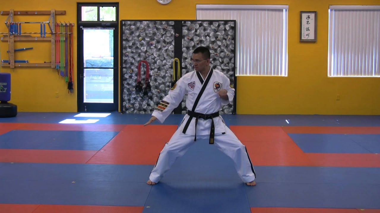 In Wha 2 Blue belt form moves 17 22 - YouTube