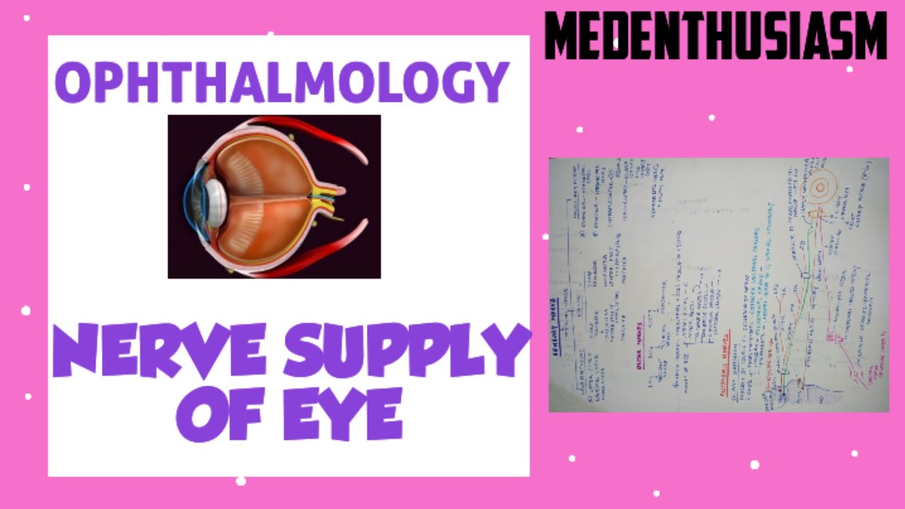 OPHTHALMOLOGY | NERVE SUPPLY OF EYE | sensory nerves , motor nerves ...