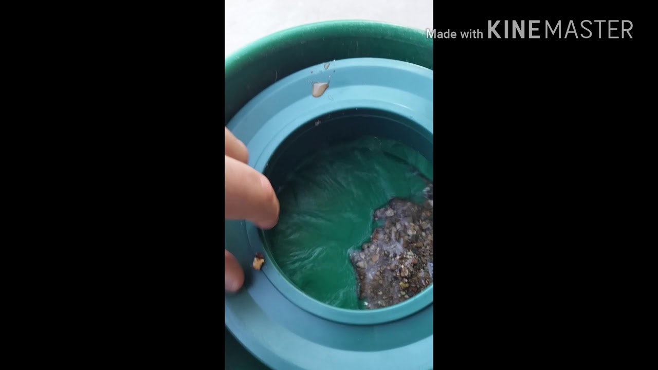 Banjo pan sluice pt2 - YouTube