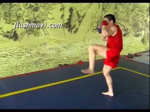 Sanda Front Kick - YouTube