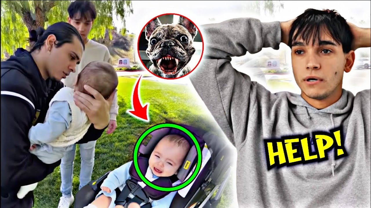 Lucas and Marcus | Help! The Baby Was Attacked By My Dog | Dobre ...